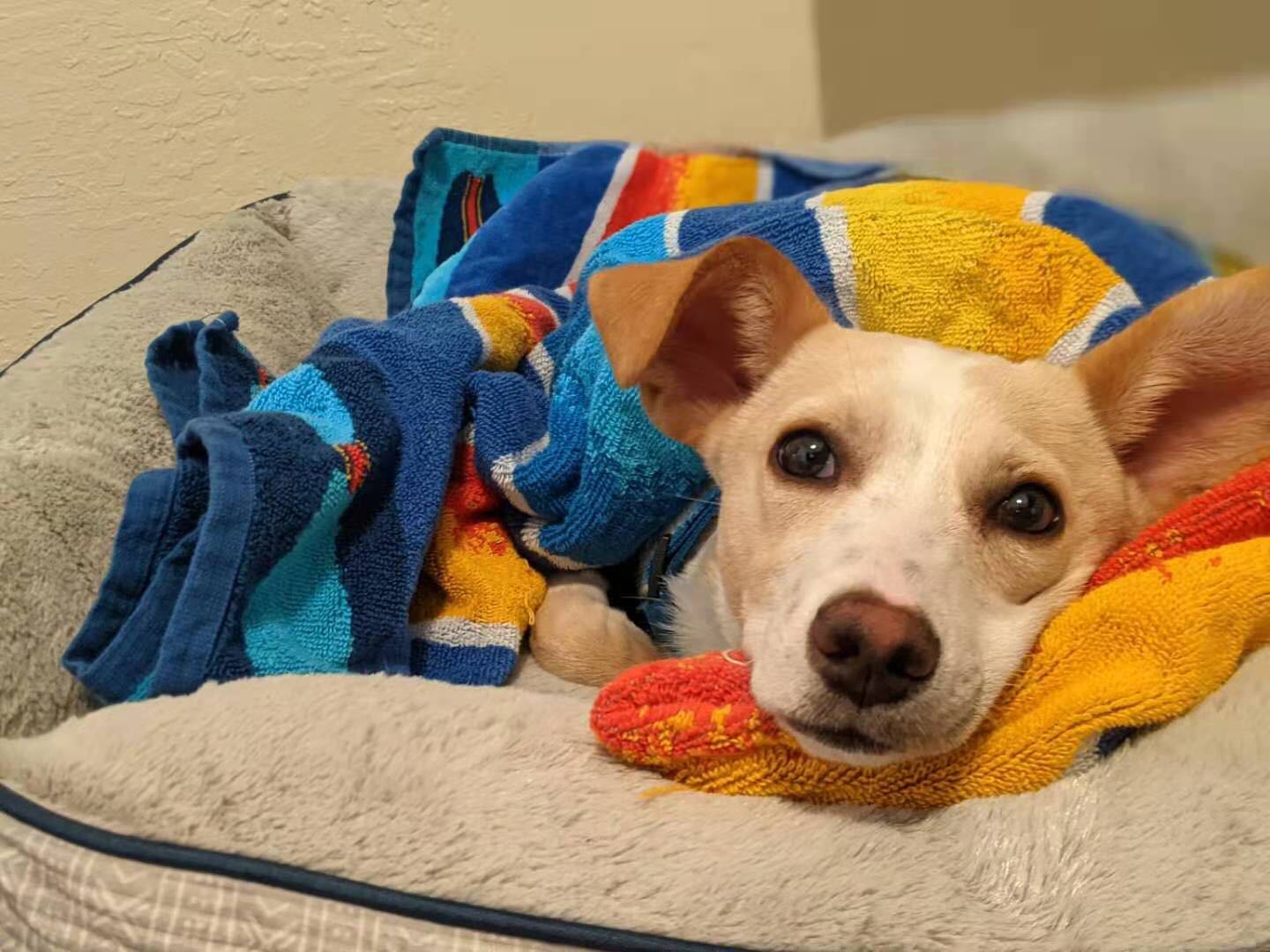 Yanru(Grace) Zhu Bio - Life